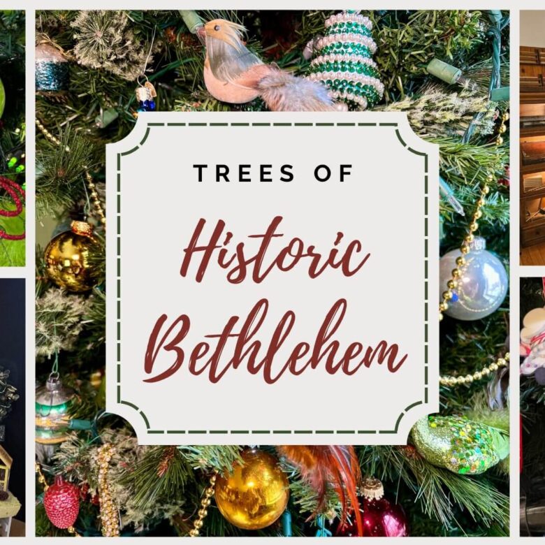 Trees of Historic Bethlehem 2025: Best Christmas Trees of the Past 20 ...